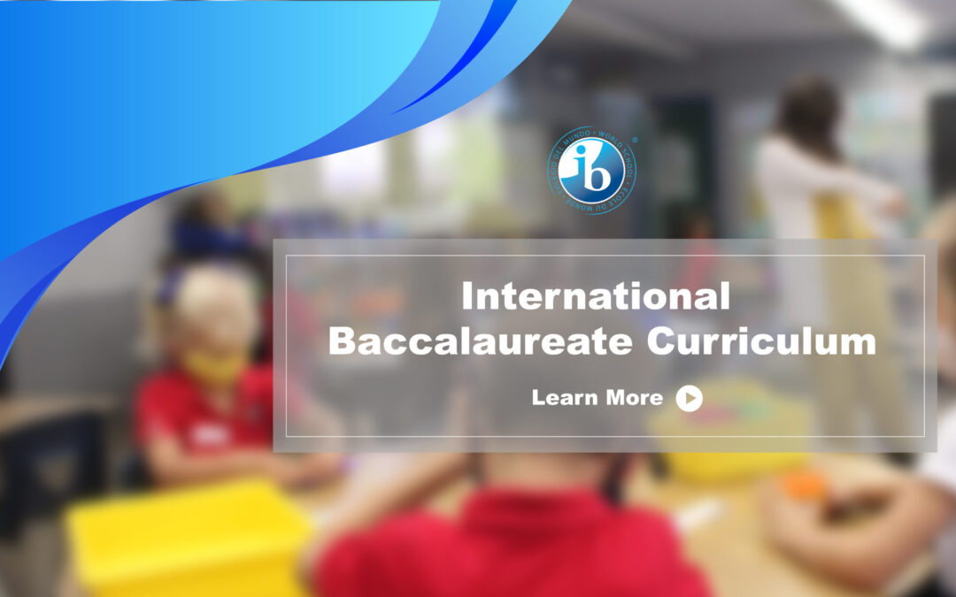 IB-Banner-scaled-1 | AEA